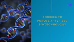 Top 10+ Courses After BSc Biotechnology (2026)